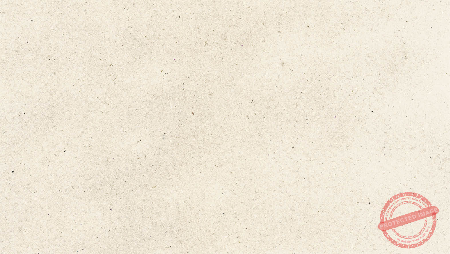 NAVIS – the cargo company|Wir verbinden die Welt